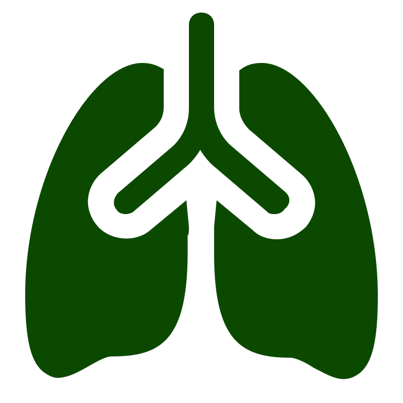PLUĆA-Respiratorni problemi – TD - MED ME